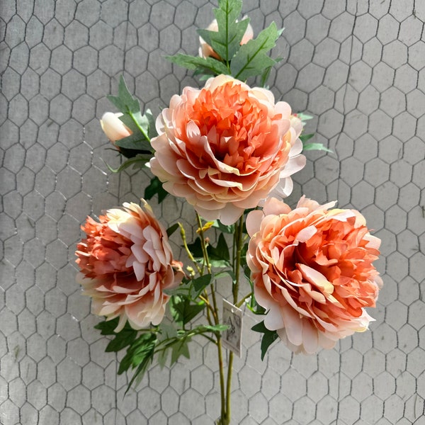 Peach Peony - Etsy