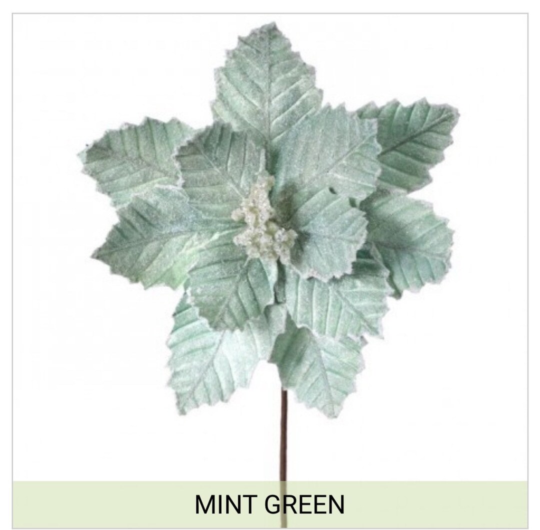 Sugared Poinsettia in Mint Green, 20” Poinsettia, Christmas Flowers ...