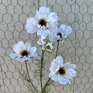 32” Cream Cosmos Spray, Cosmos Flower in Cream, 4118C - Etsy