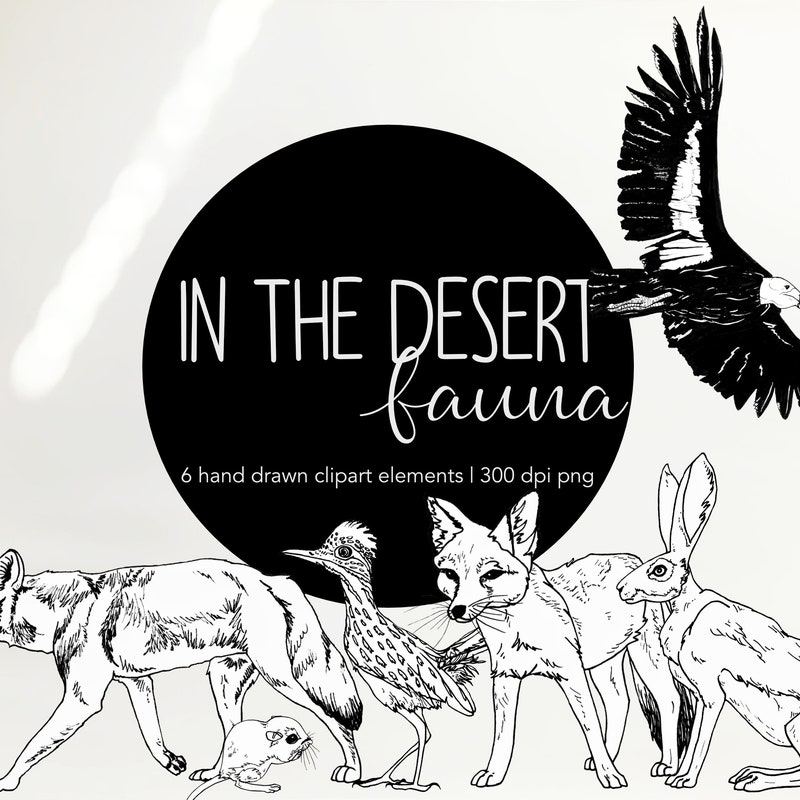 Desert Animals Clip Art - Etsy