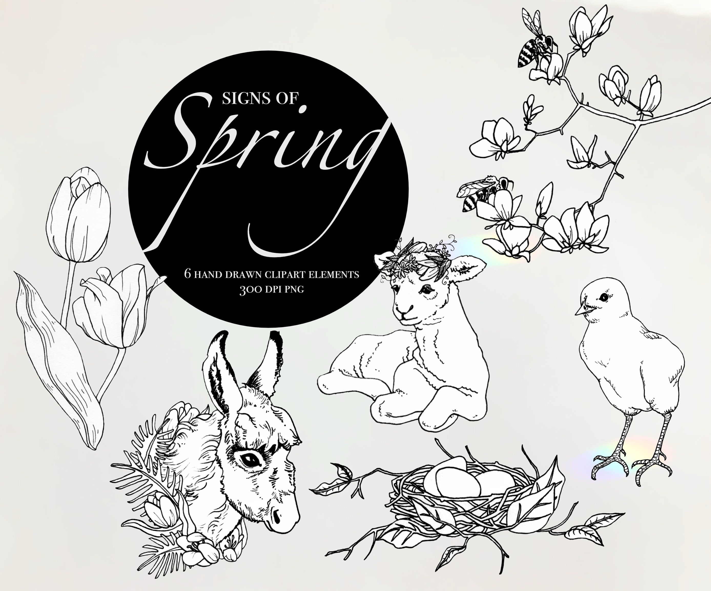 Signs of Spring Clipart - Etsy