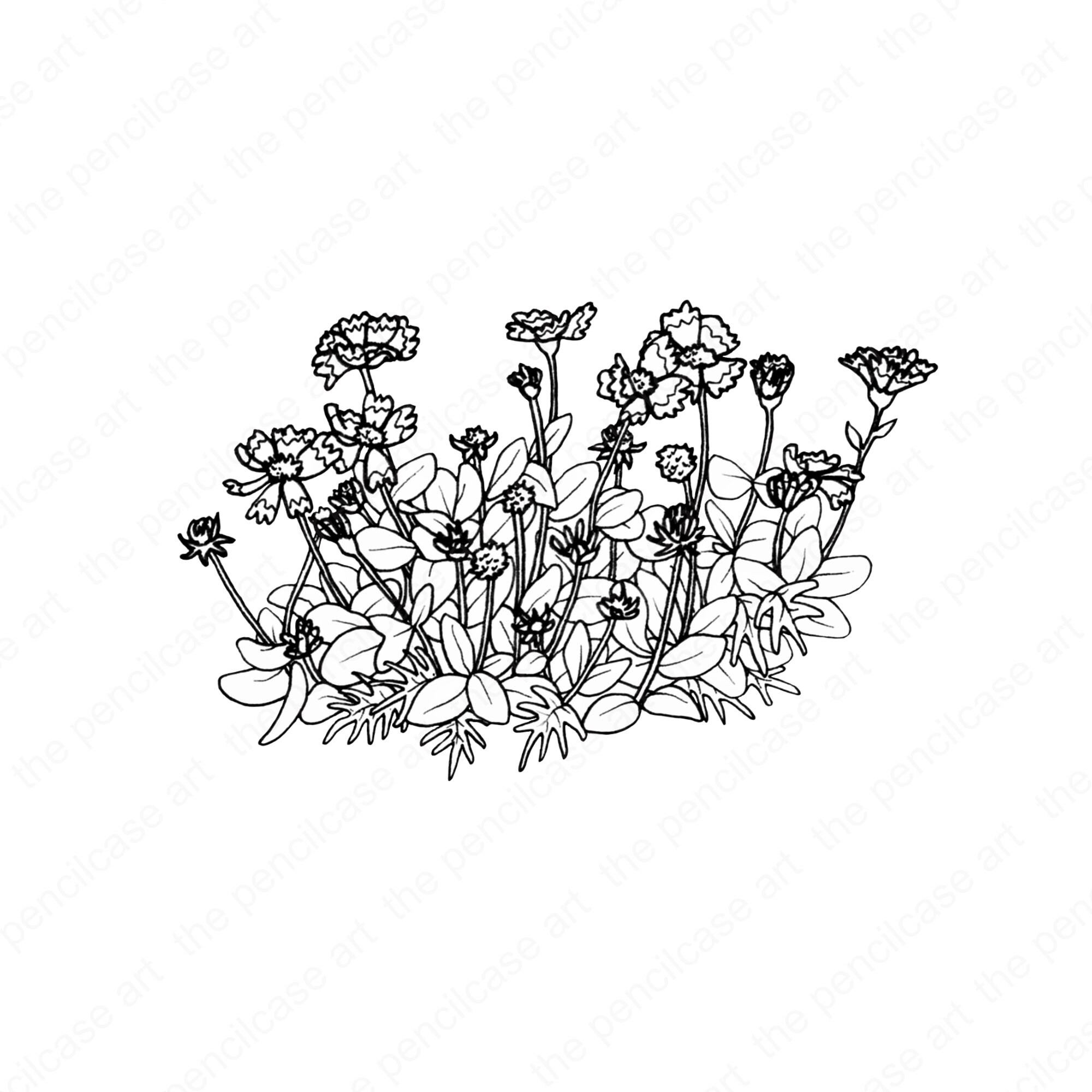 On the Prairie Flora - Six Hand Drawn Clipart Elements of American ...