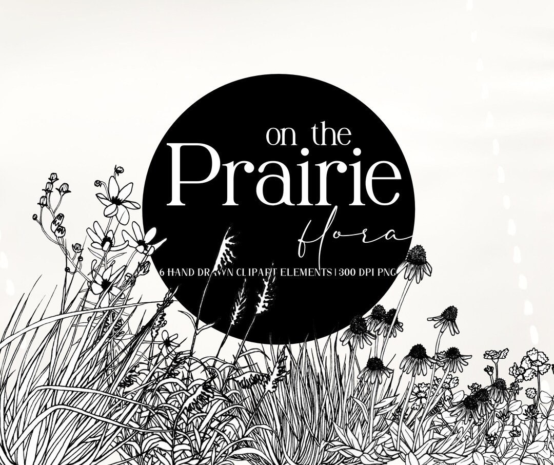 On the Prairie Flora - Six Hand Drawn Clipart Elements of American ...