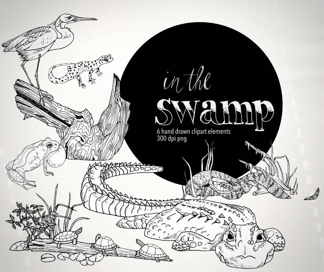 In the Swamp: Six Hand Drawn Clipart Elements With Transparent ...