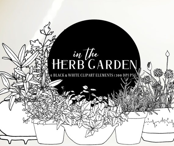 Clipart Garden Black And White