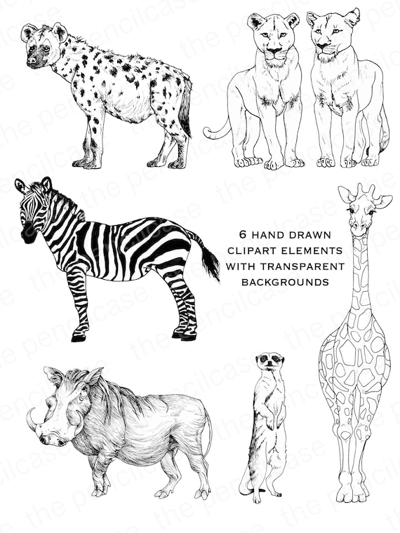 African Animals Clipart Black And White
