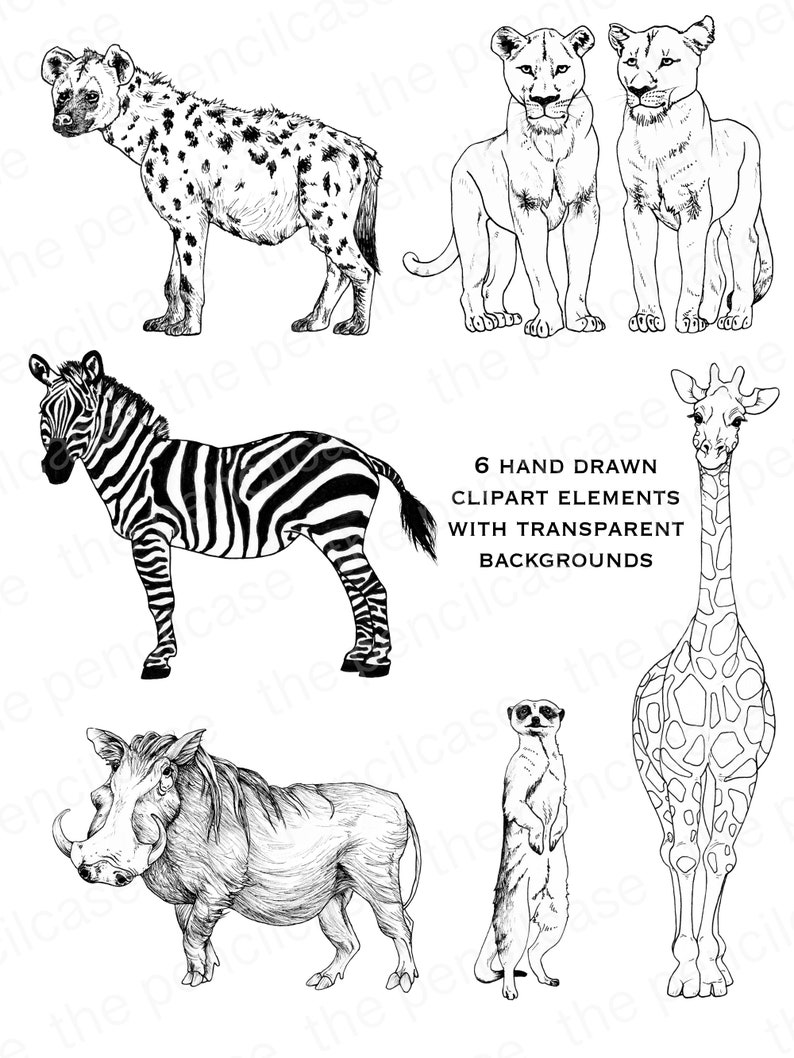 On the Safari Clipart, African Animal Clipart, Clipart Black and White ...