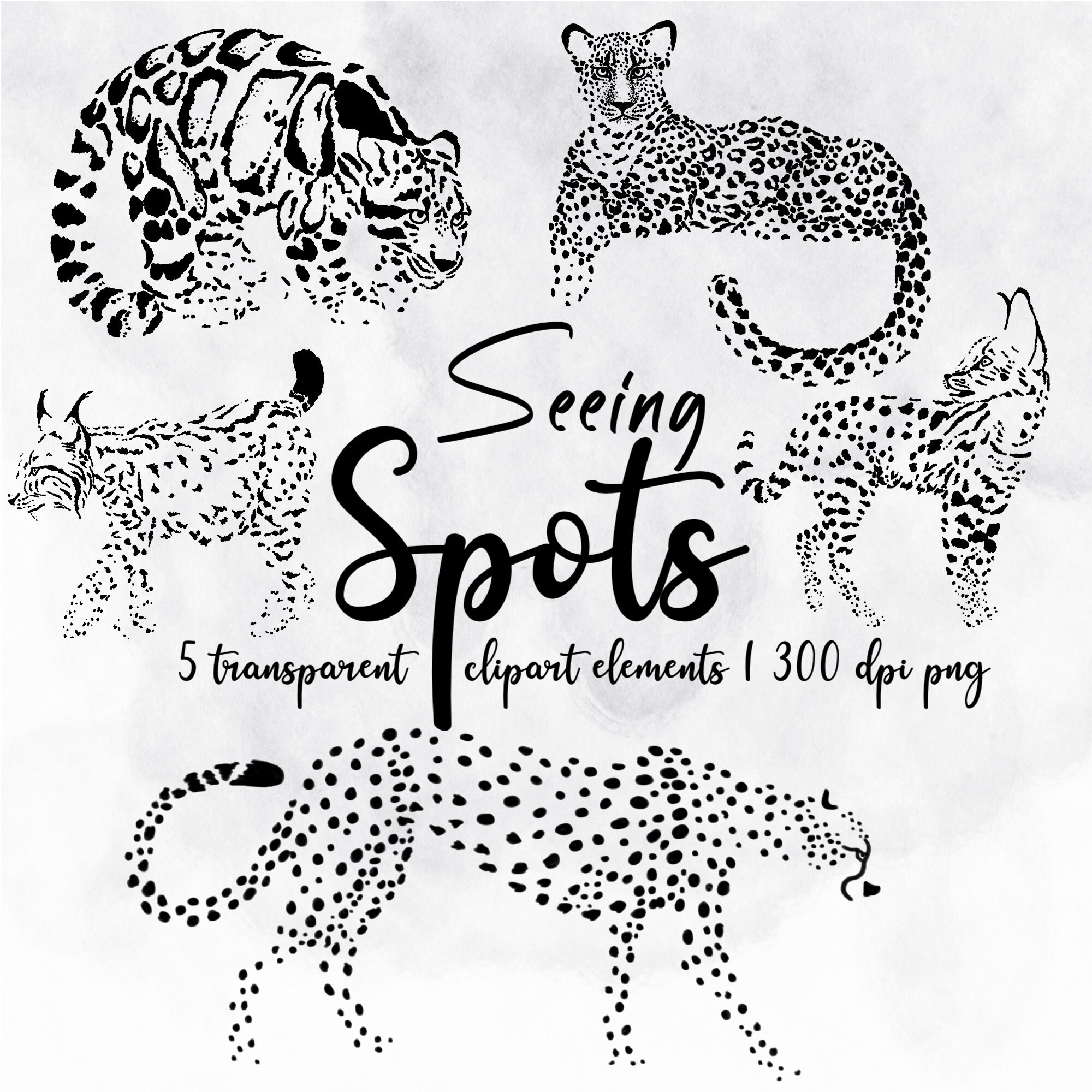Seeing Clip Art