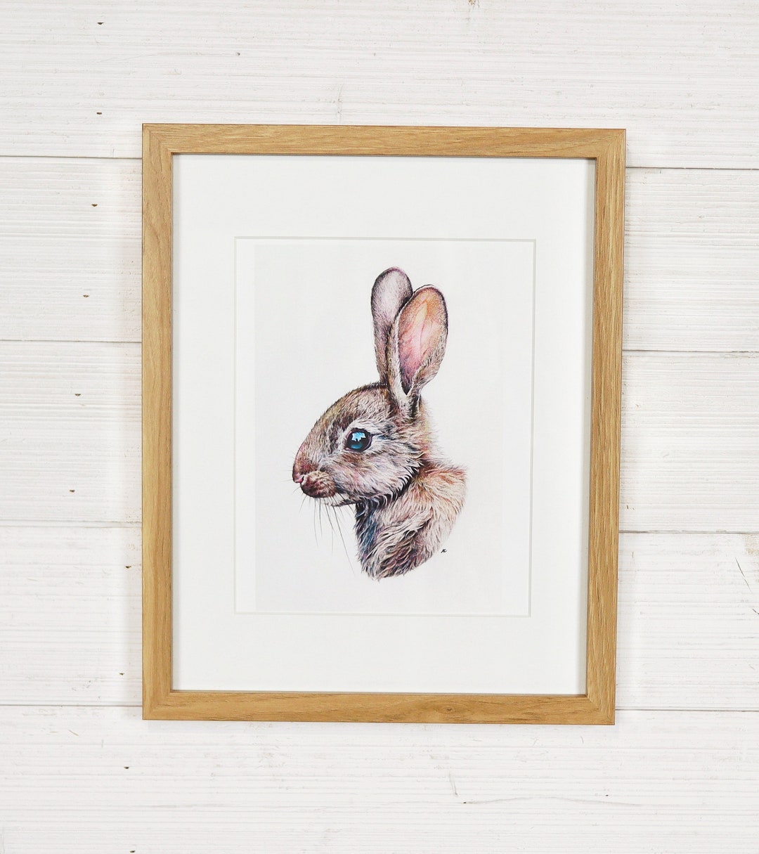 Rabbit Fine Art Print, Rabbit Print, Rabbit Print Art, Rabbit Print ...