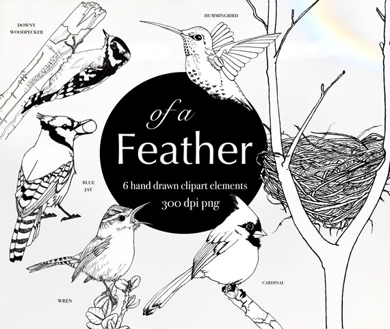 Of a Feather Clipart Bird Clipart Cardinal Clipart | Etsy