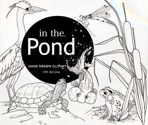 Pond Animals Clipart Black And White