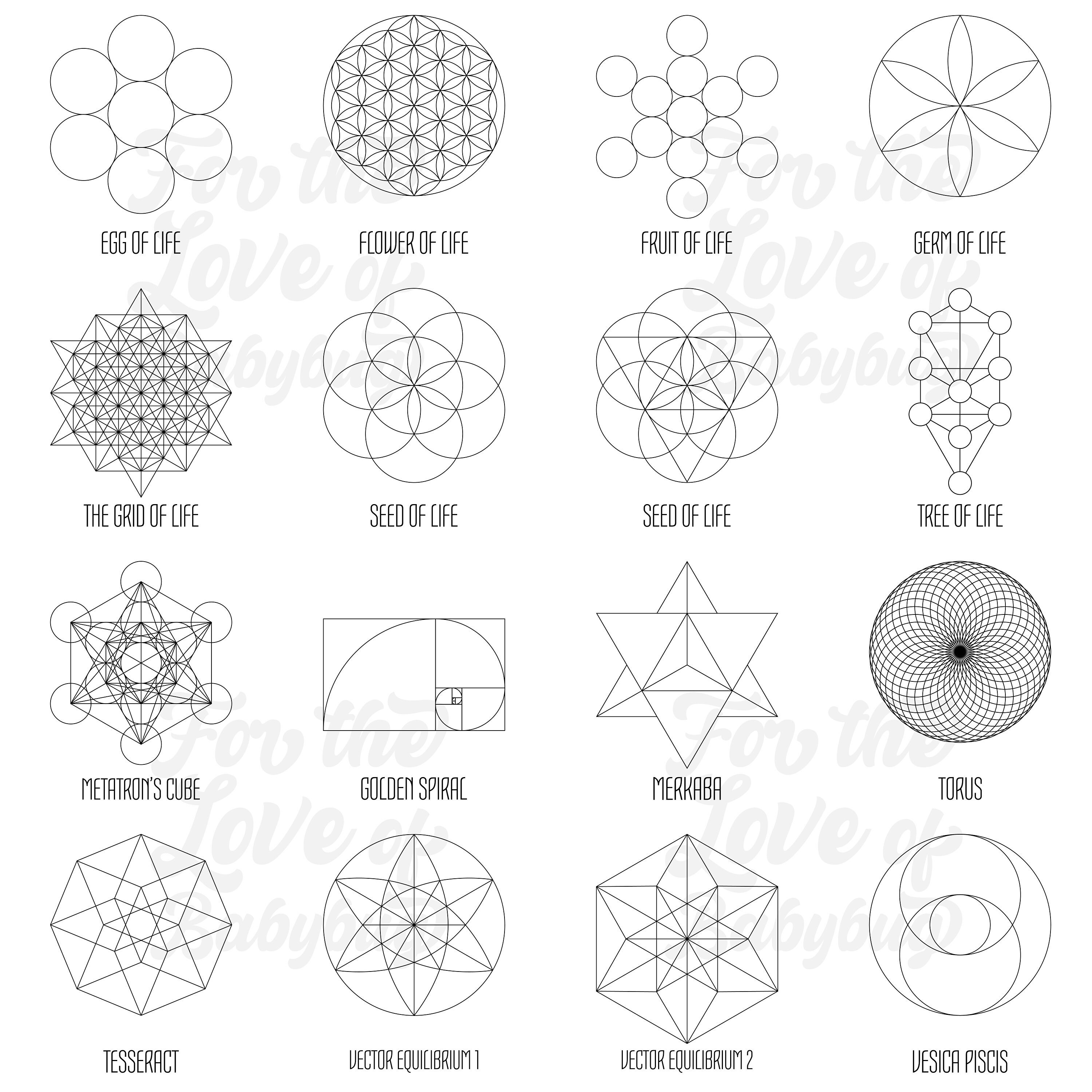 Sacred Geometry Vector