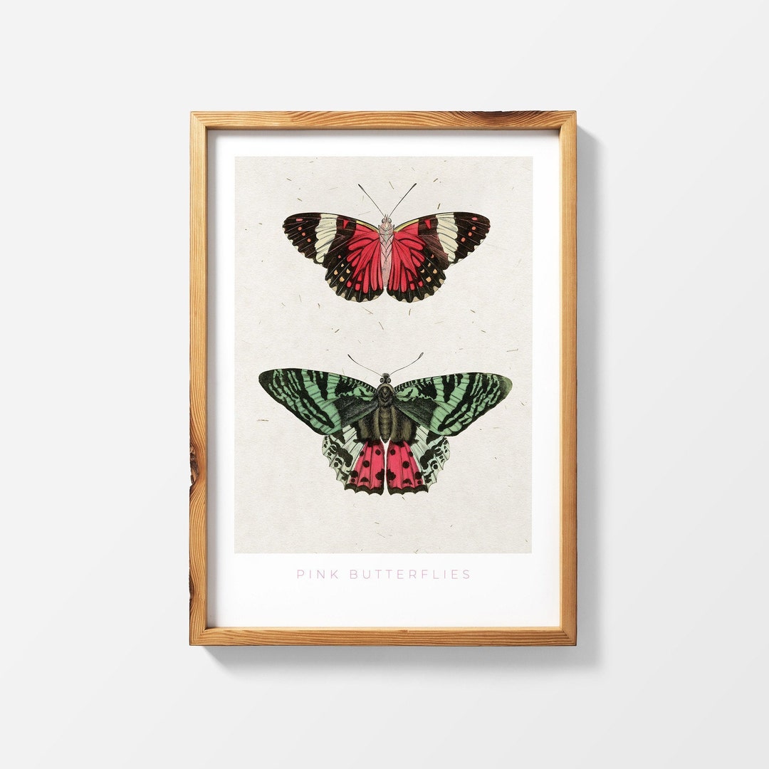 Pink Butterflies || Vintage Scientific Illustrations || Printable Wall ...
