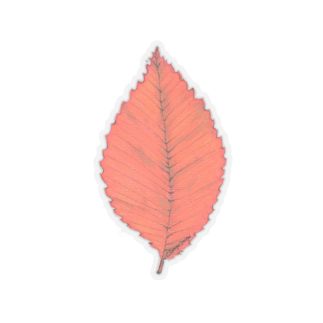 Beech Leaf - Stickers From Nature - Etsy