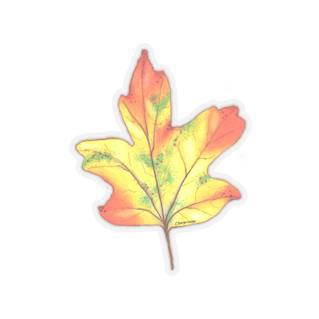 Maple Leaf - Stickers From Nature - Etsy