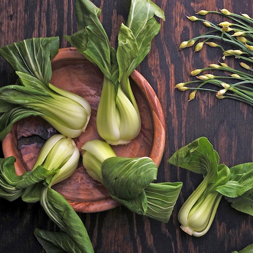 Bok Choy Seeds Canton Pak Choi Seeds Chinese Cabbage Seeds - Etsy