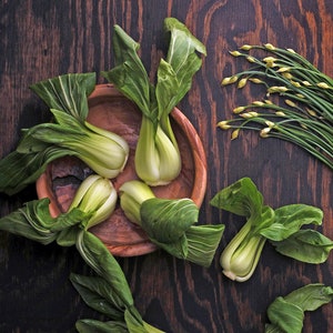 Bok Choy Seeds | Canton Pak Choi Seeds | Chinese Cabbage Seeds | Bak ...