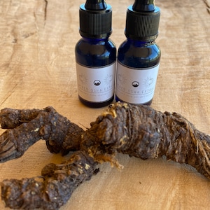 Osha Root Extract | Whole Osha Root Tincture | Bear Root Extract ...