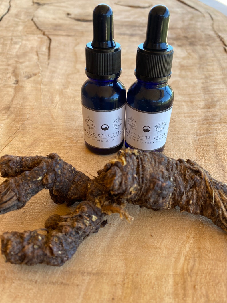 Osha Root Extract Whole Osha Root Tincture Bear Root - Etsy