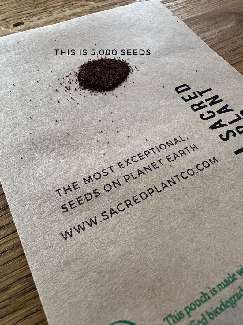 Irish Moss Seeds Irish Moss Ground Cover Seeds Sagina - Etsy