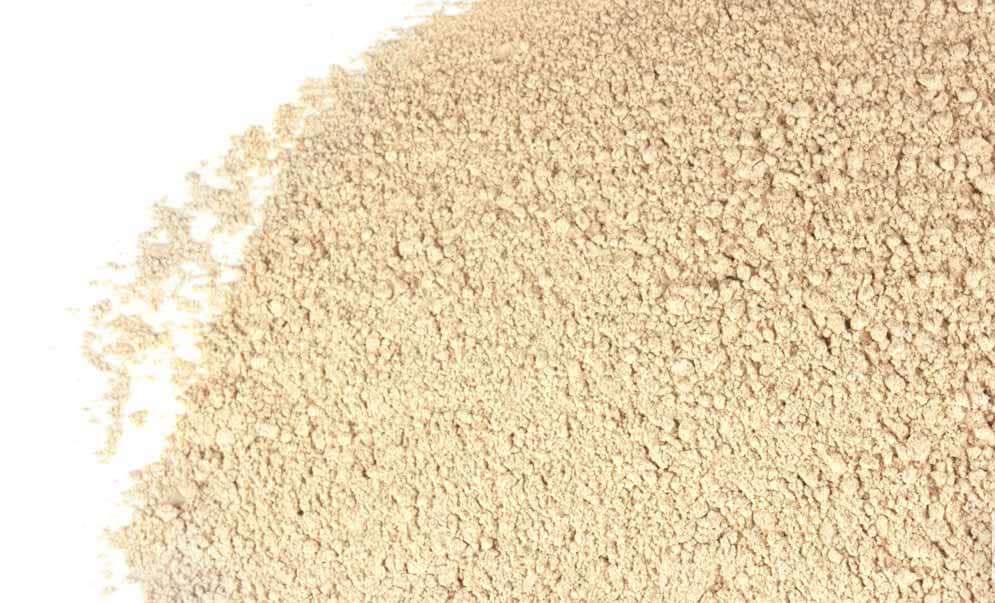 Bulk Irish Moss Powder 1 LBS Irish Moss Herb Powder - Etsy