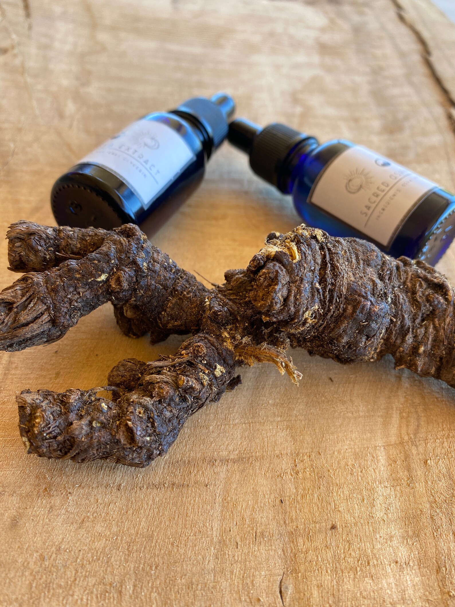 Osha Root Extract Whole Osha Root Tincture Bear Root | Etsy