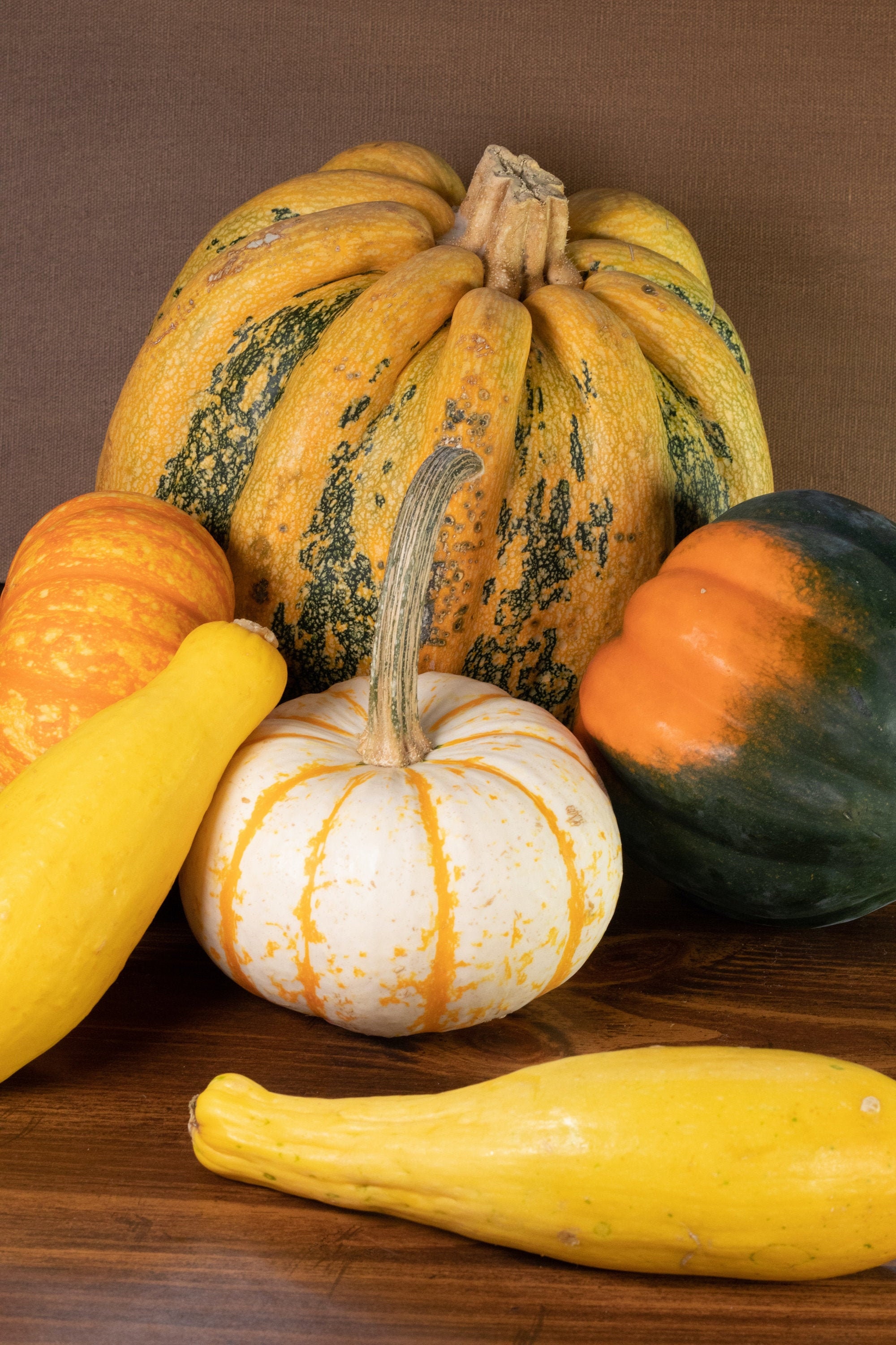 Bulk Summer Sqush Seeds Early Prolific Straightneck Summer - Etsy