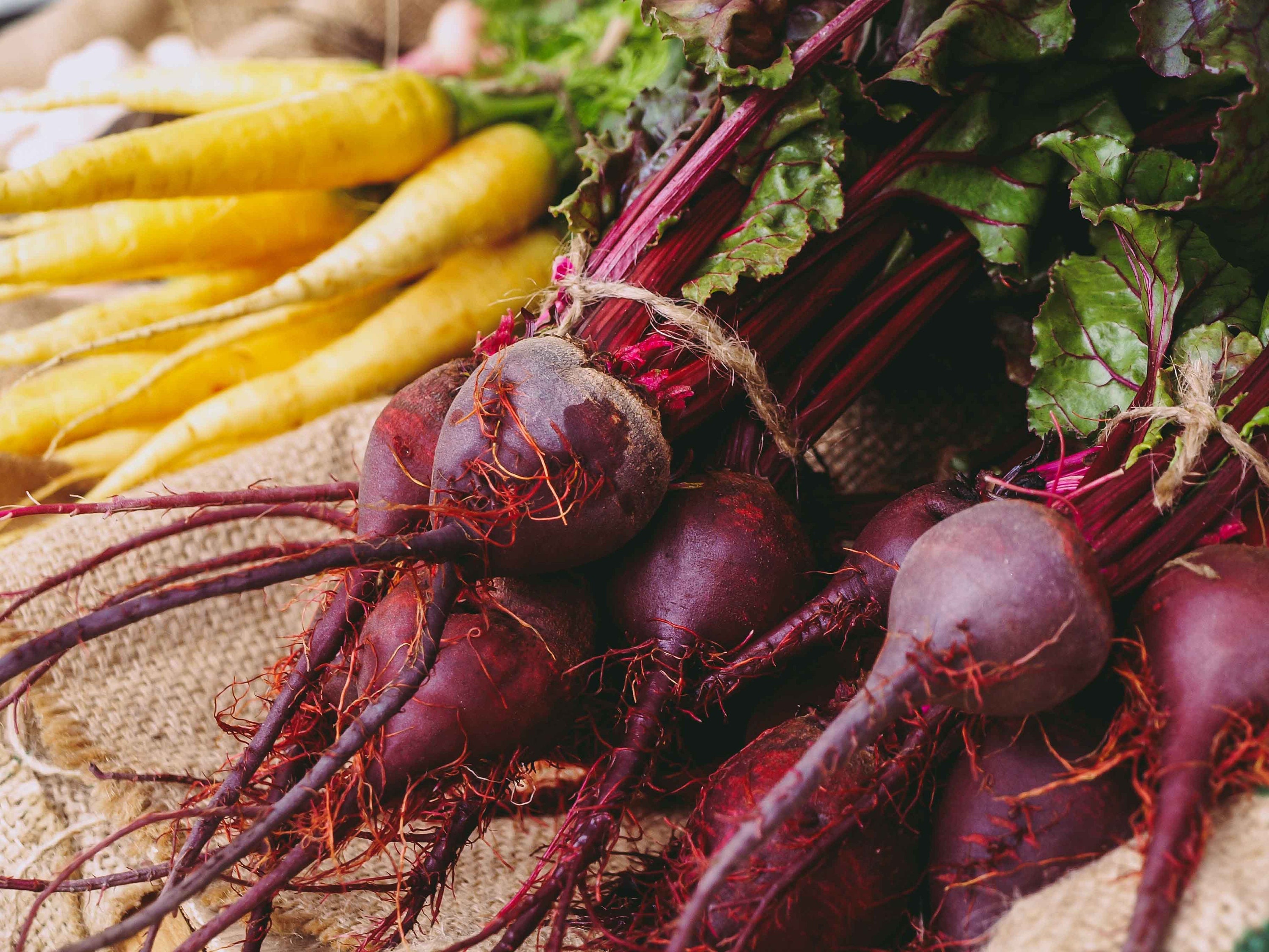 Detroit Dark Red Beet Seeds Beet Seeds Red Beet Seeds | Etsy