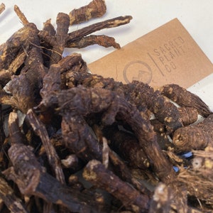 Osha Root Whole Osha Root Bear Root Chuchupate Root Colorado Cough Root ...
