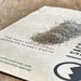 Quaking Aspen Tree Seeds Aspen Tree Seeds Aspen Trees Aspen Seeds ...