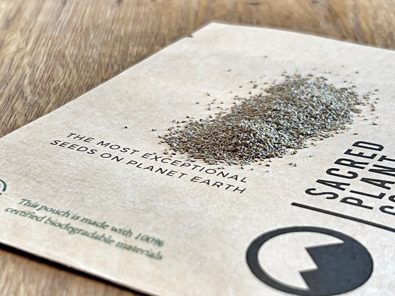 Quaking Aspen Tree Seeds Aspen Tree Seeds Aspen Trees - Etsy