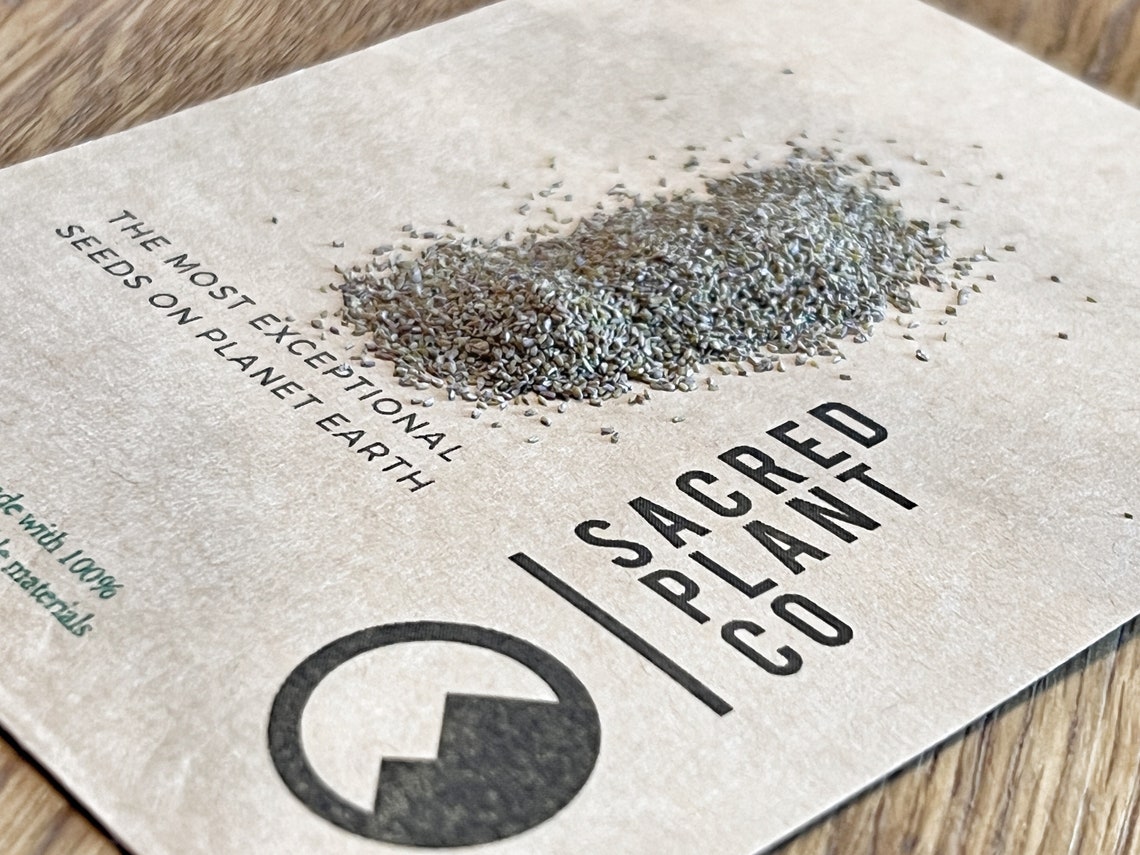 Quaking Aspen Tree Seeds Aspen Tree Seeds Aspen Trees | Etsy