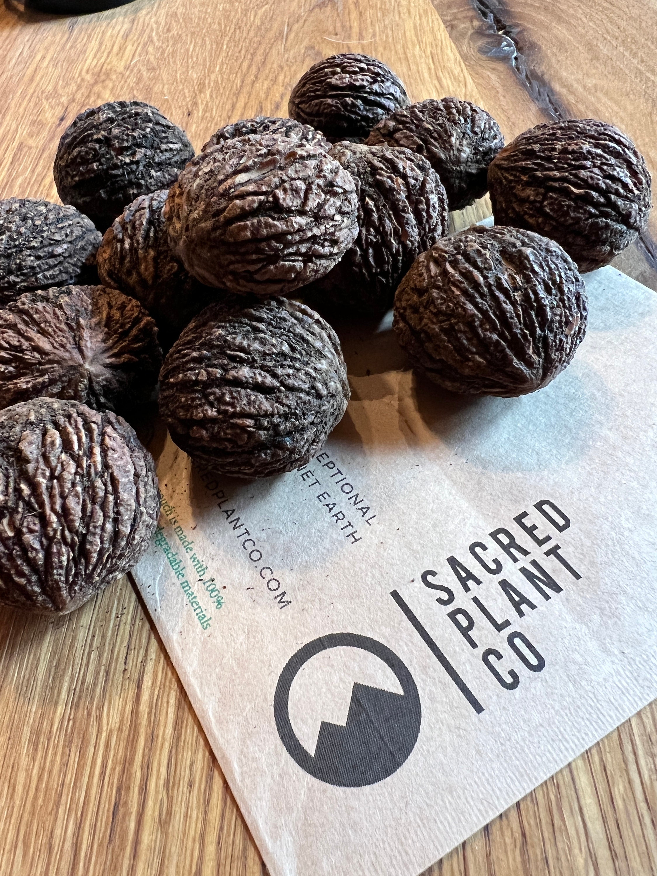 Seeds & Seed Bombs Organic Black Walnuts Juglans nigra No Floaters For ...