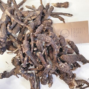Osha Root Whole Osha Root Bear Root Chuchupate Root Colorado Cough Root ...