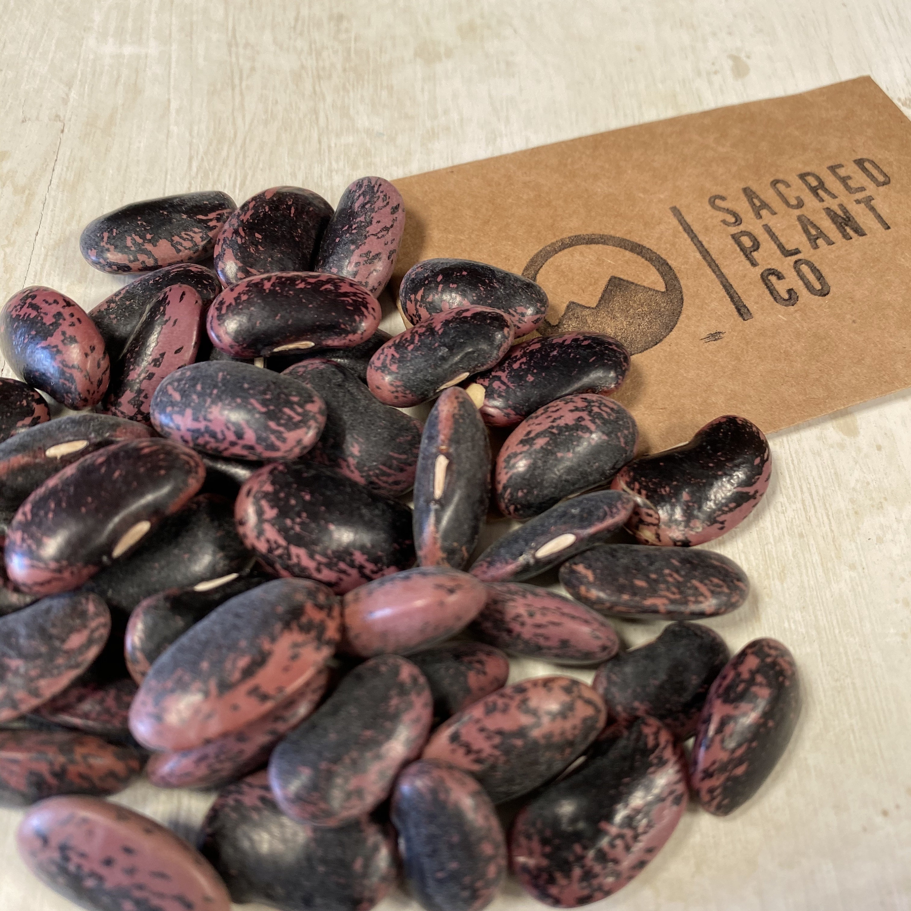Runner Bean Scarlet Emperor (Organic) Vital Seeds | atelier-yuwa.ciao.jp