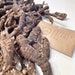 Osha Root | Whole Osha Root | Bear Root | Chuchupate Root | Colorado ...