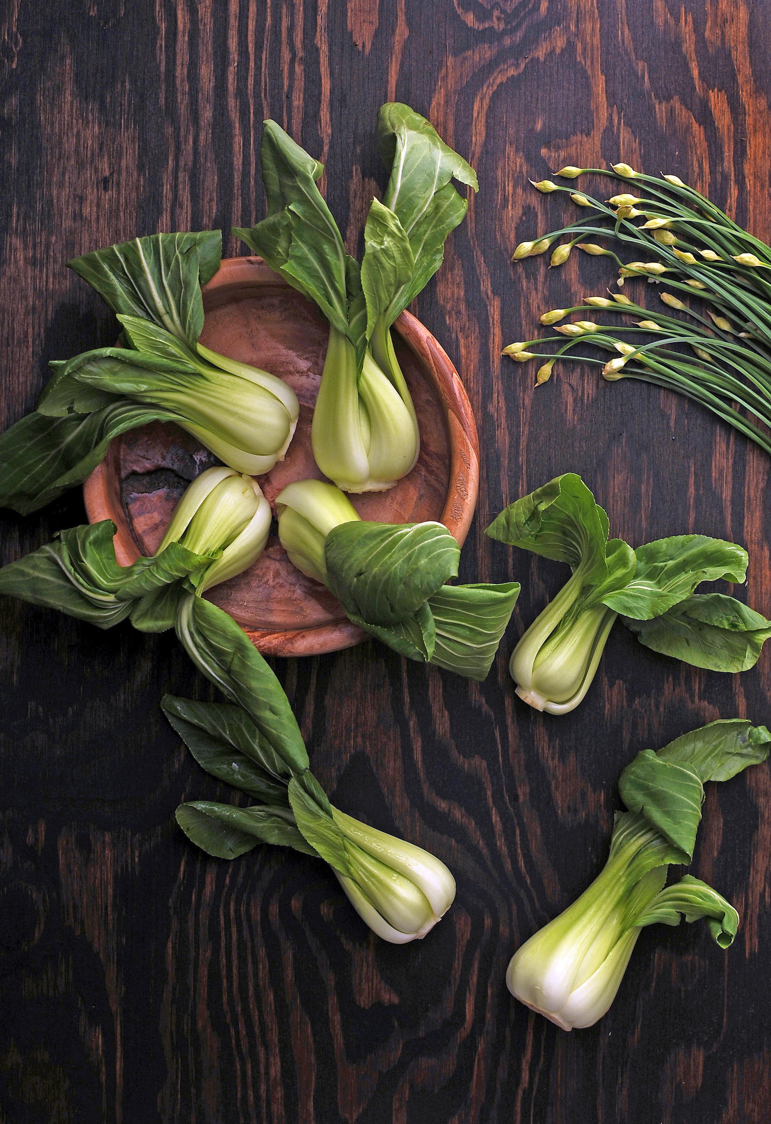 Bok Choy Seeds Canton Pak Choi Seeds Chinese Cabbage Seeds - Etsy
