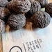 Black Walnut Tree Seeds Walnut Tree Seeds Northern Black Walnut Seeds ...