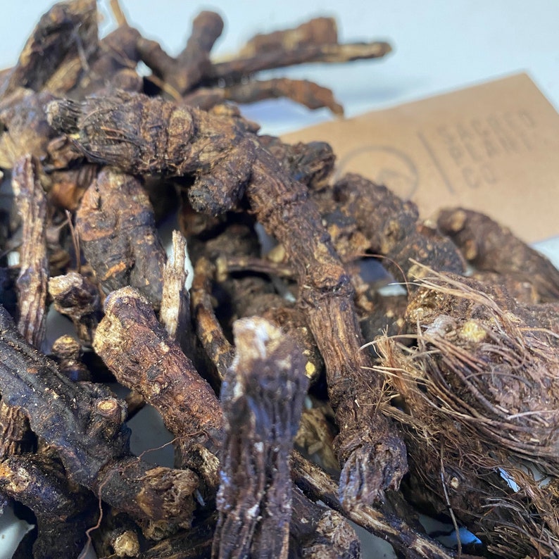 Osha Root Whole Osha Root Bear Root Chuchupate Root - Etsy