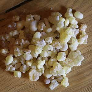 Frankincense Tears | Frankincense Resin | Frankincense Resin Sap ...