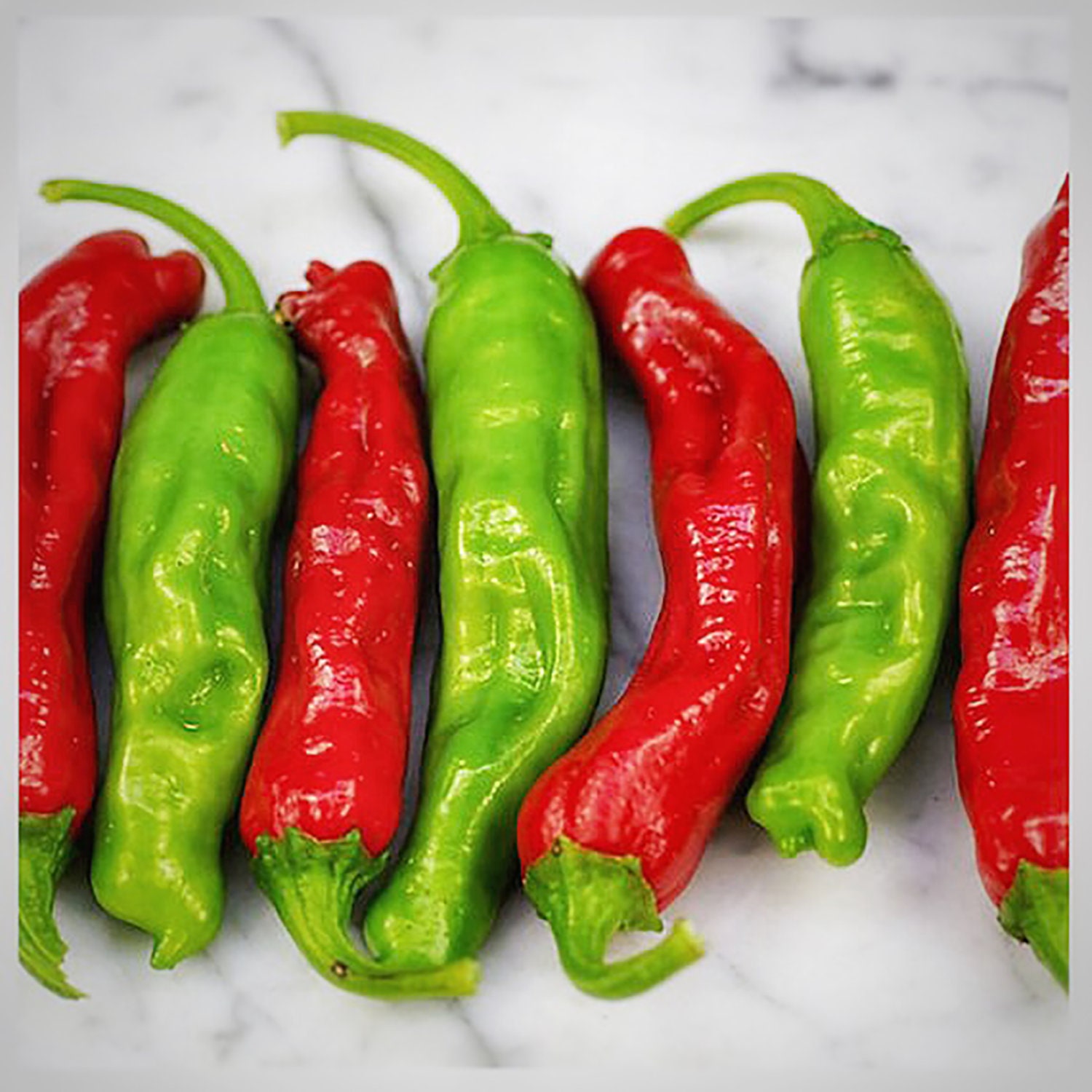 Shishito Pepper Seeds Shishito Pepper Plant Seeds Heirloom | Etsy