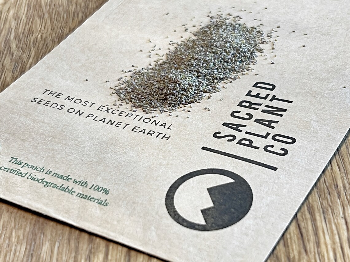 Quaking Aspen Tree Seeds Aspen Tree Seeds Aspen Trees | Etsy