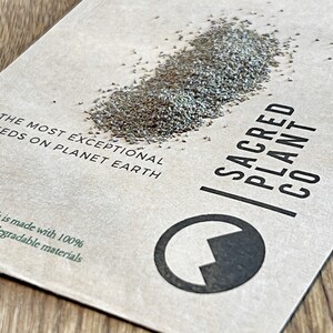 Quaking Aspen Tree Seeds | Aspen Tree Seeds | Aspen Trees | Aspen Seeds ...