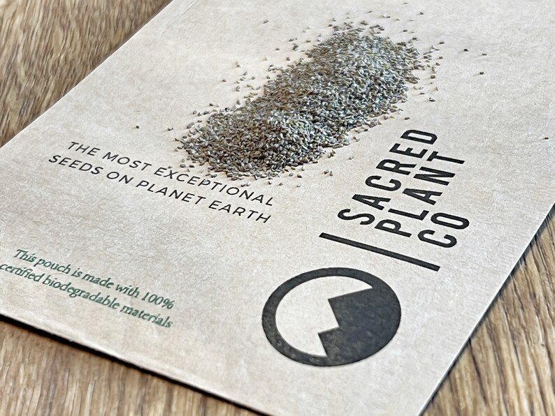 Quaking Aspen Tree Seeds Aspen Tree Seeds Aspen Trees - Etsy