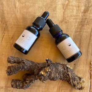 Osha Root Extract | Whole Osha Root Tincture | Bear Root Extract ...