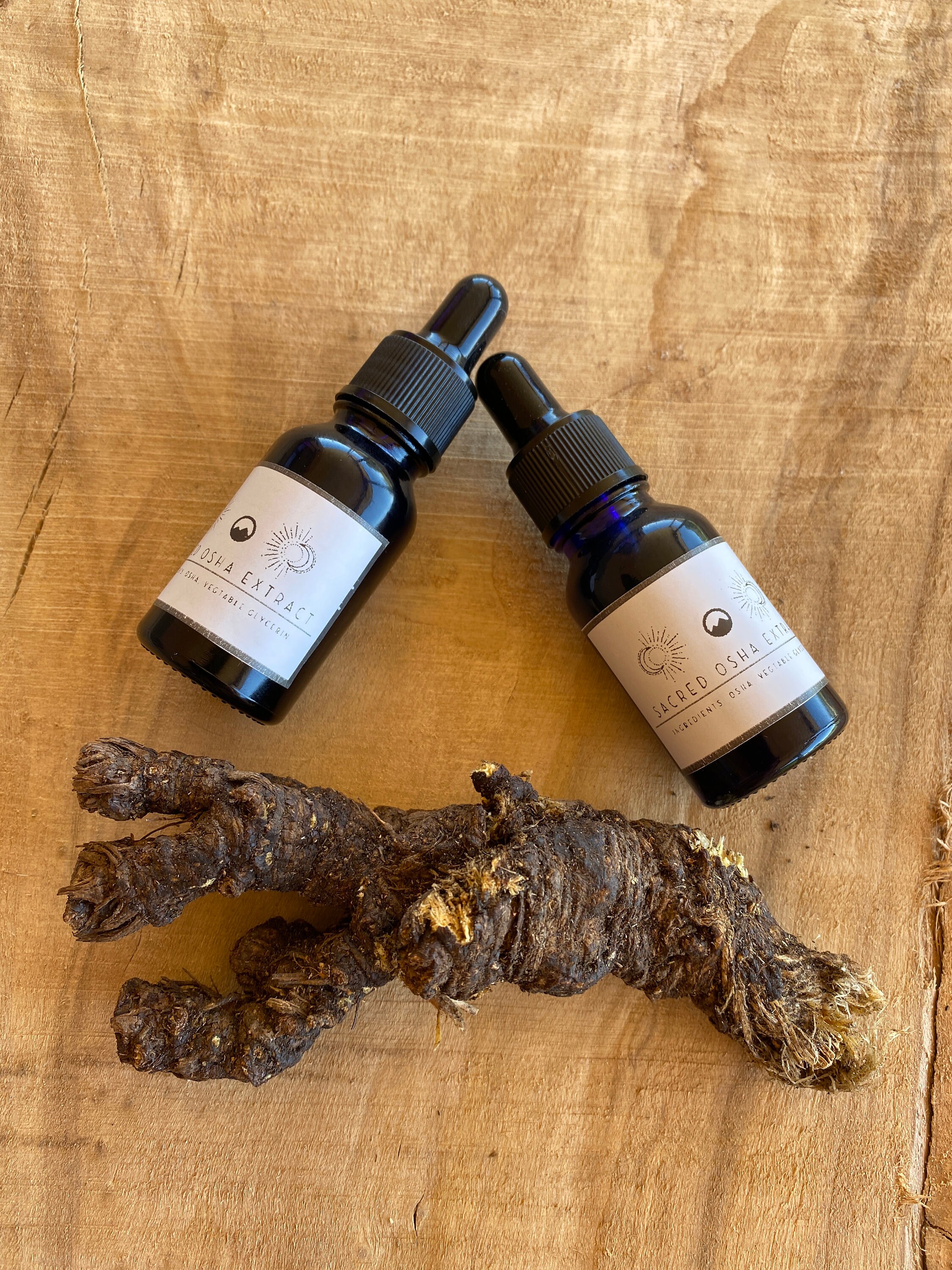 Osha Root Extract | Whole Osha Root Tincture | Bear Root Extract ...