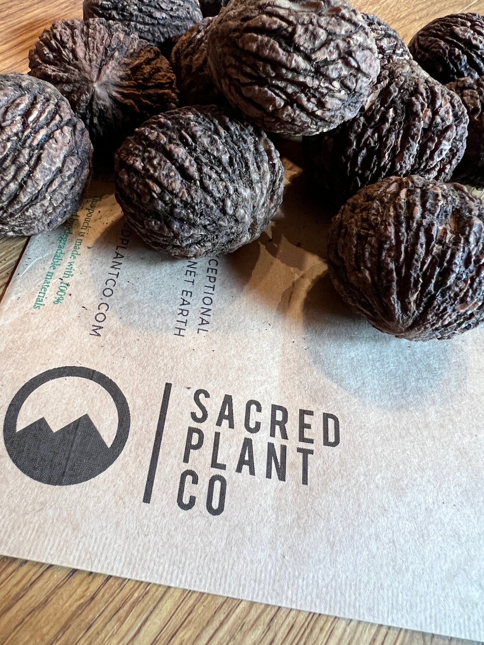 Black Walnut Tree Seeds | Walnut Tree Seeds | Northern Black Walnut ...