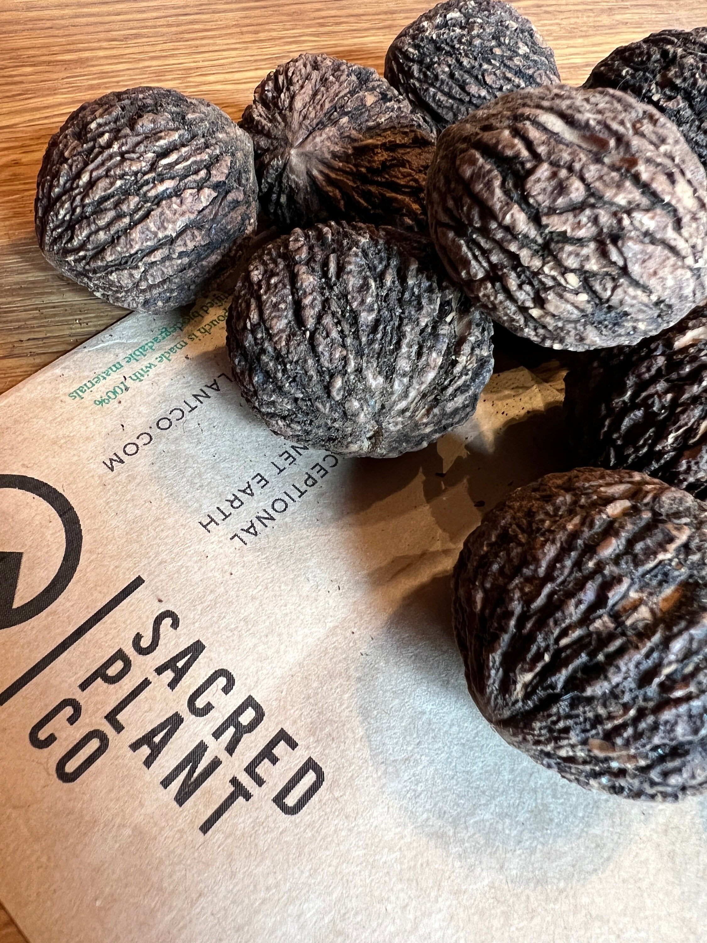 Black Walnut Tree Seeds | Walnut Tree Seeds | Northern Black Walnut ...