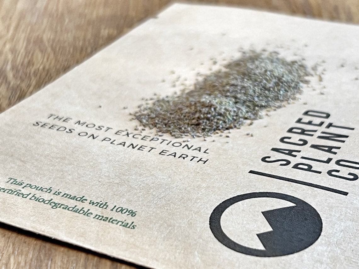 Quaking Aspen Tree Seeds Aspen Tree Seeds Aspen Trees | Etsy