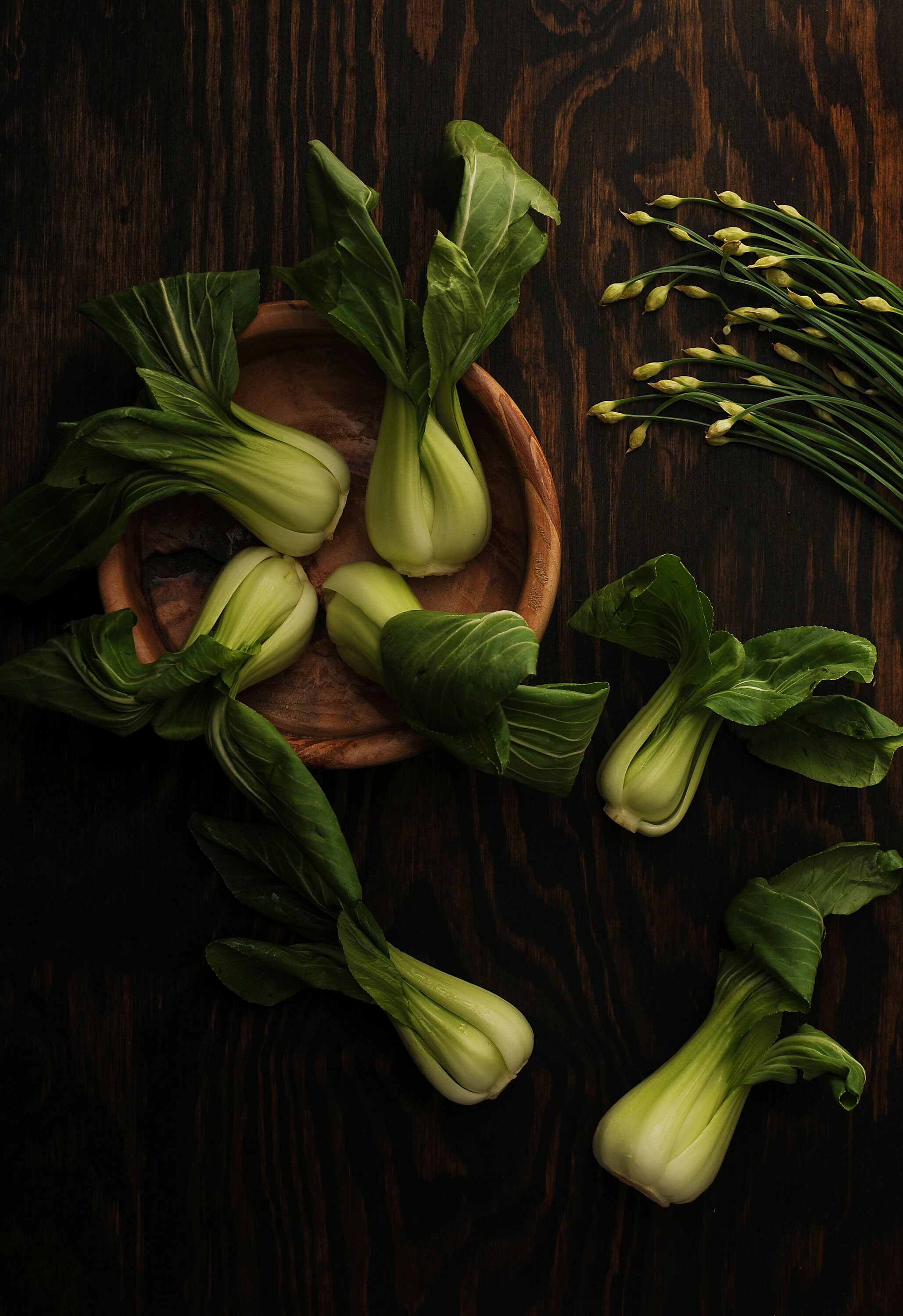 Bok Choy Seeds Canton Pak Choi Seeds Chinese Cabbage Seeds - Etsy